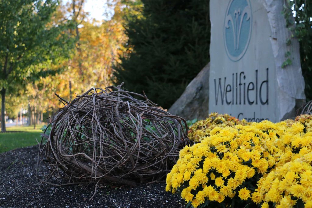 Wellfield Botanic Gardens to open with “modified visitation plan” – 95. ...