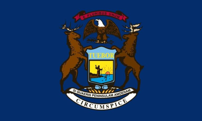 New poll suggests front runners in Michigan governor, senate races - 95 ...