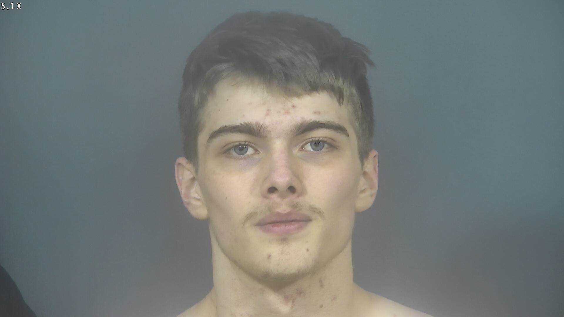 Trial for teen accused of stabbing mother, dogs called off - 95.3 MNC